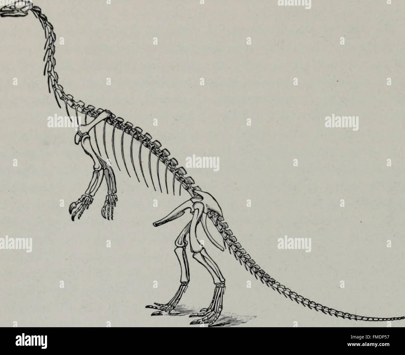 'Geology' (1907) provides an introduction to geological principles and ...