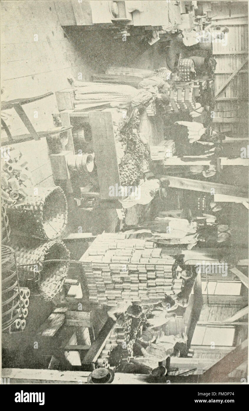 This 1901 work provides an overview of Georgia’s historical and ...