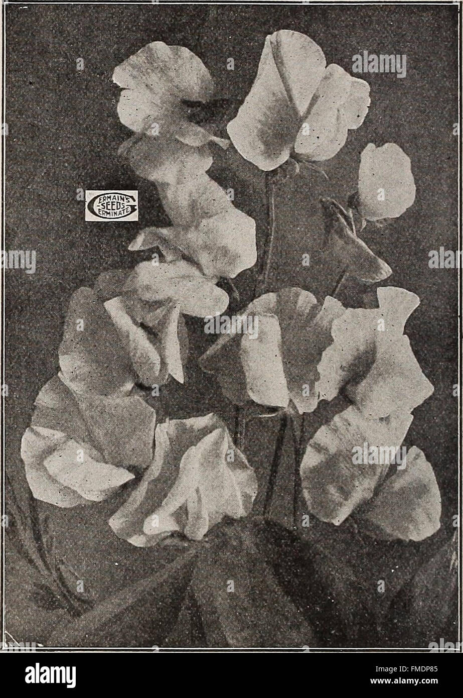 This catalog from 1912 showcases various items from Germain's ...