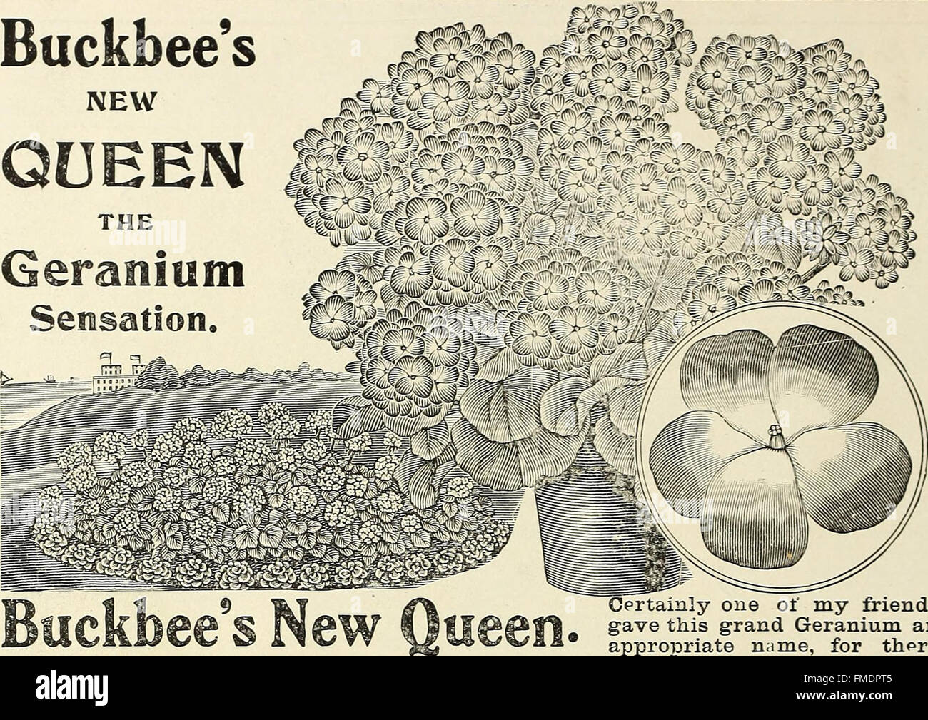 The H.W. Buckbee seed and plant guide from 1905 provides detailed ...