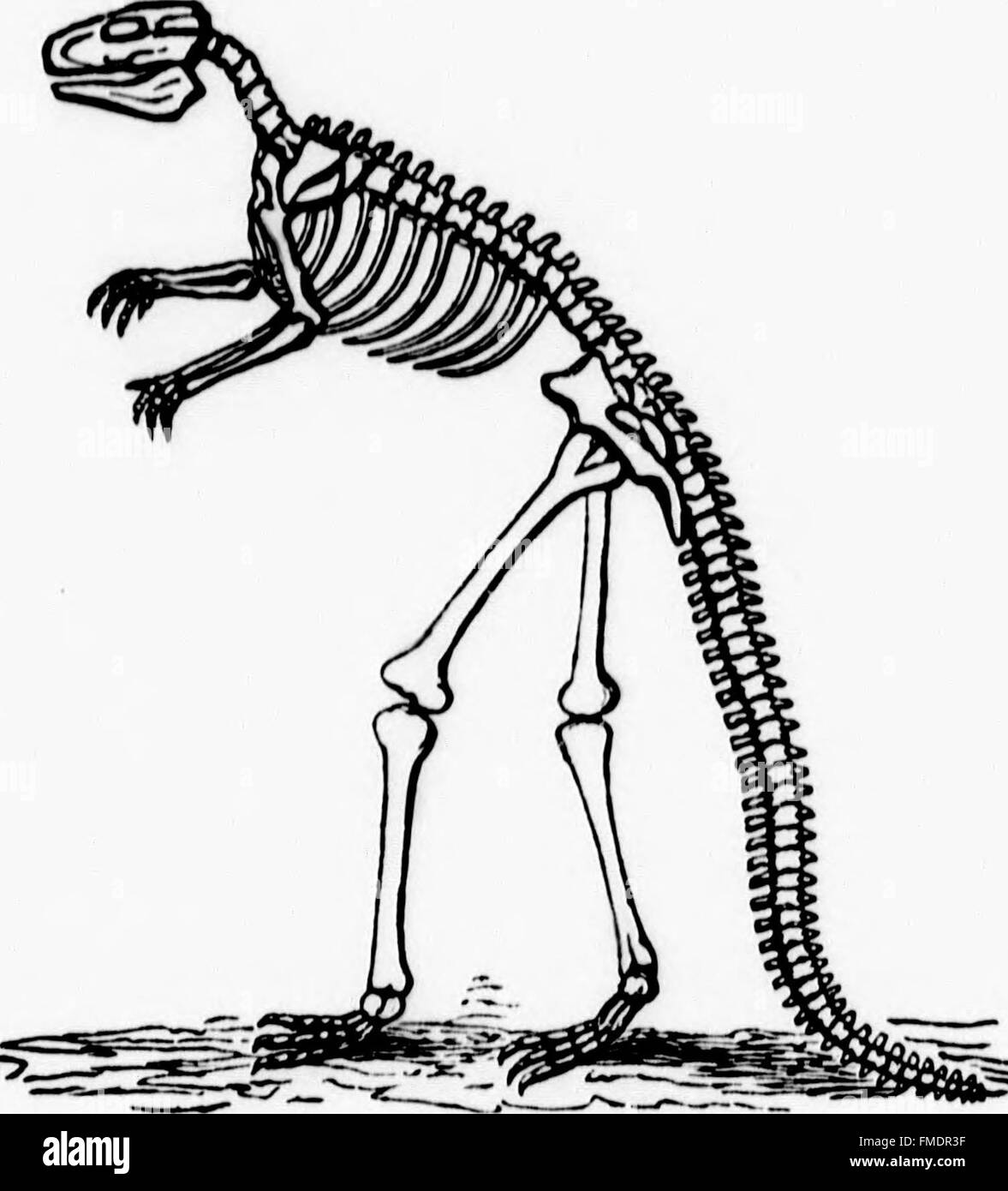 Comparative examples Black and White Stock Photos & Images - Alamy