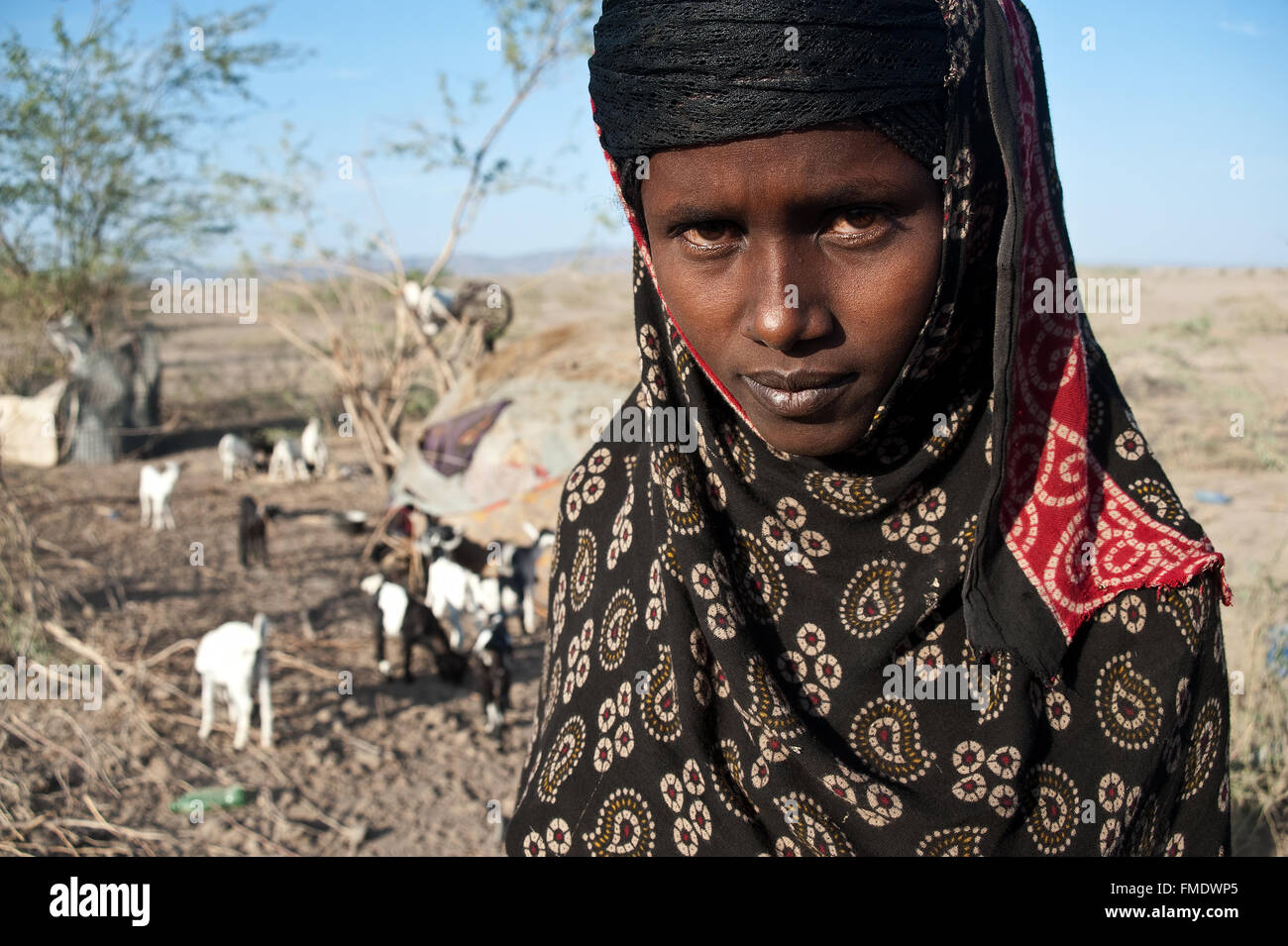 Young muslim woman belonging to the Afar tribe. Behind her, the camp ...