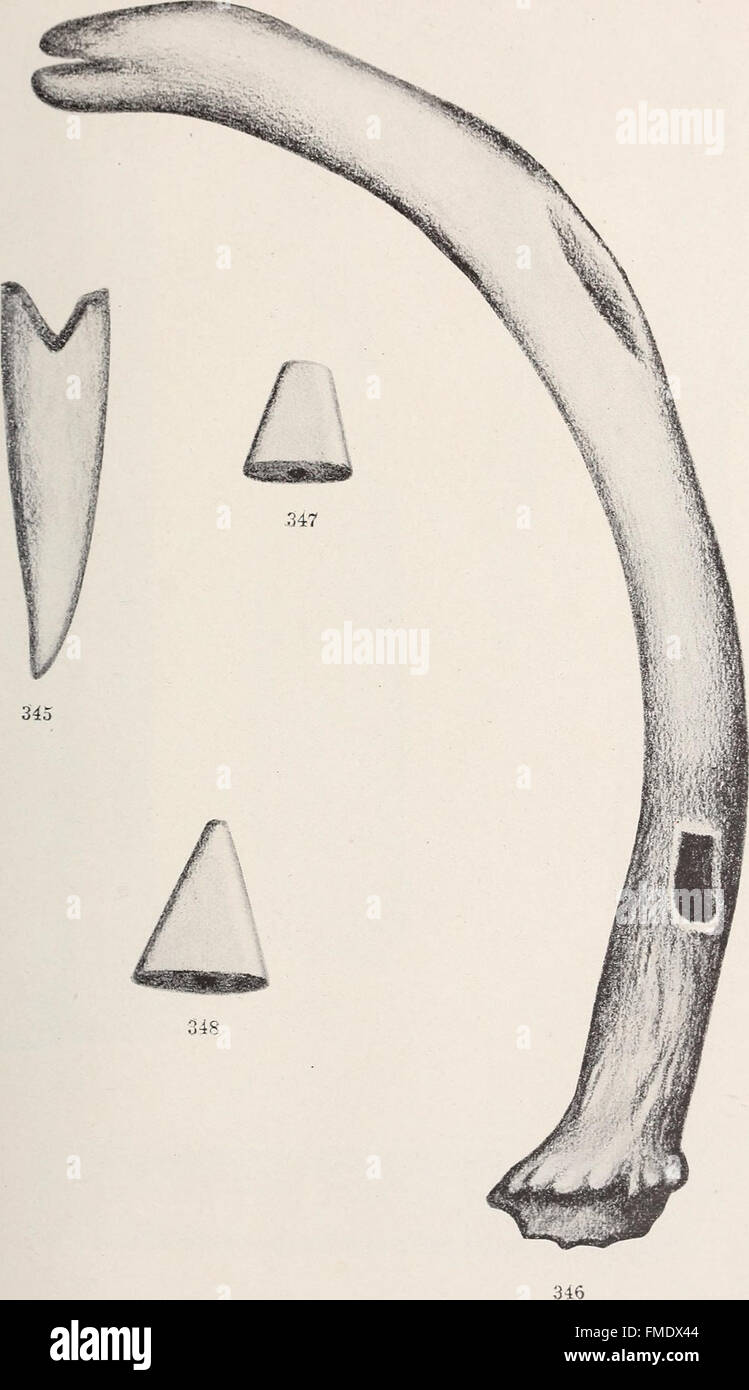 'Horn and Bone Implements of the New York Indians' (1902) describes the ...