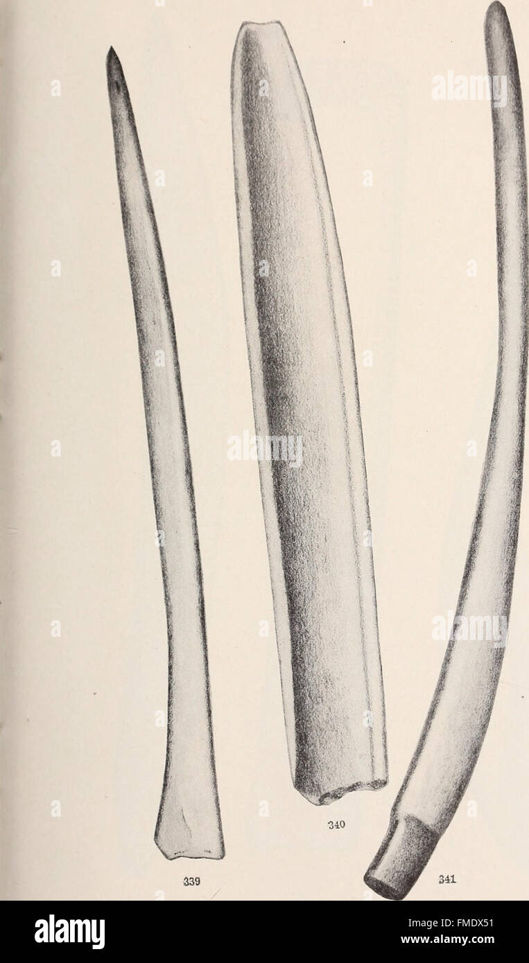 This 1902 publication catalogs the horn and bone implements used by ...