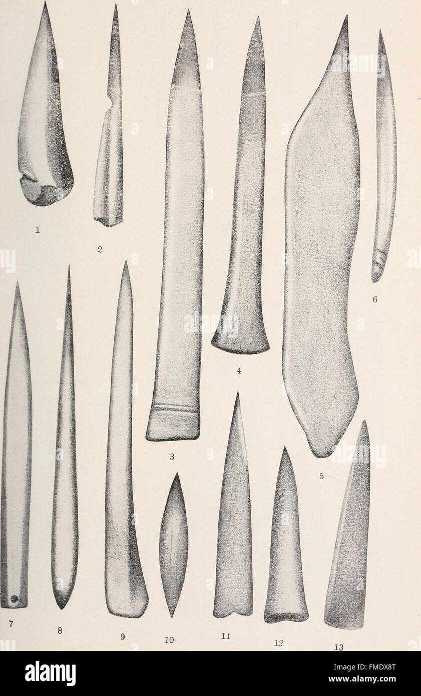 This 1902 work examines the use of horn and bone implements by the New ...