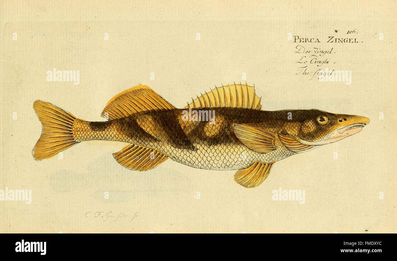 This ichthyological work provides a natural history of fish species ...