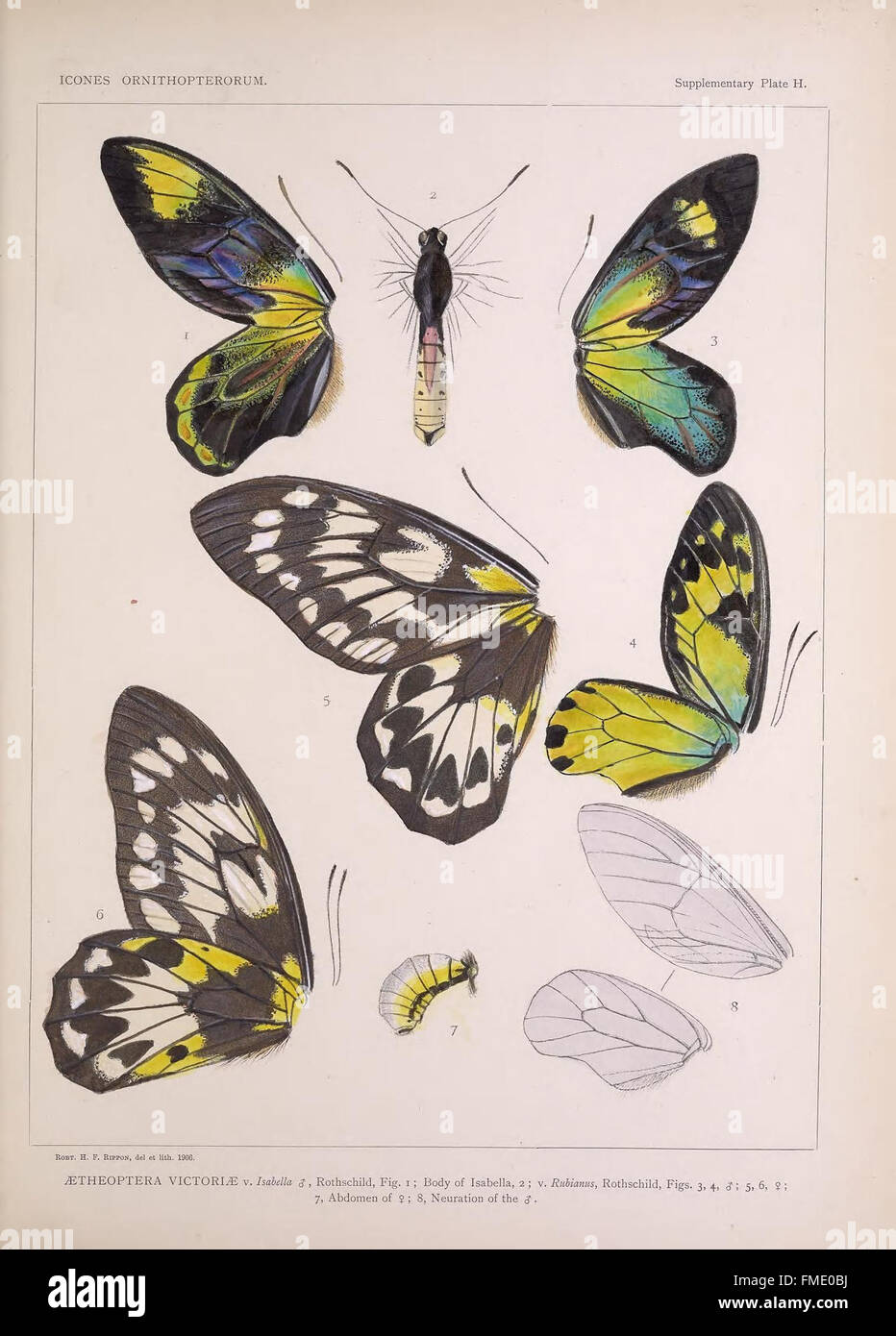 Supplementary map hi-res stock photography and images - Alamy