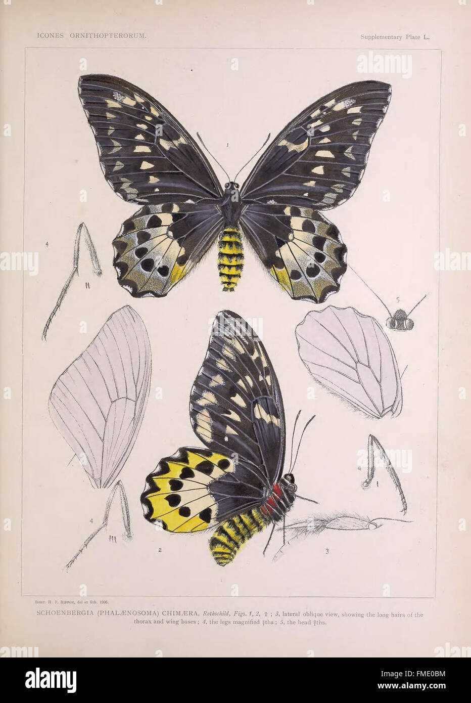 Supplementary map hi-res stock photography and images - Alamy