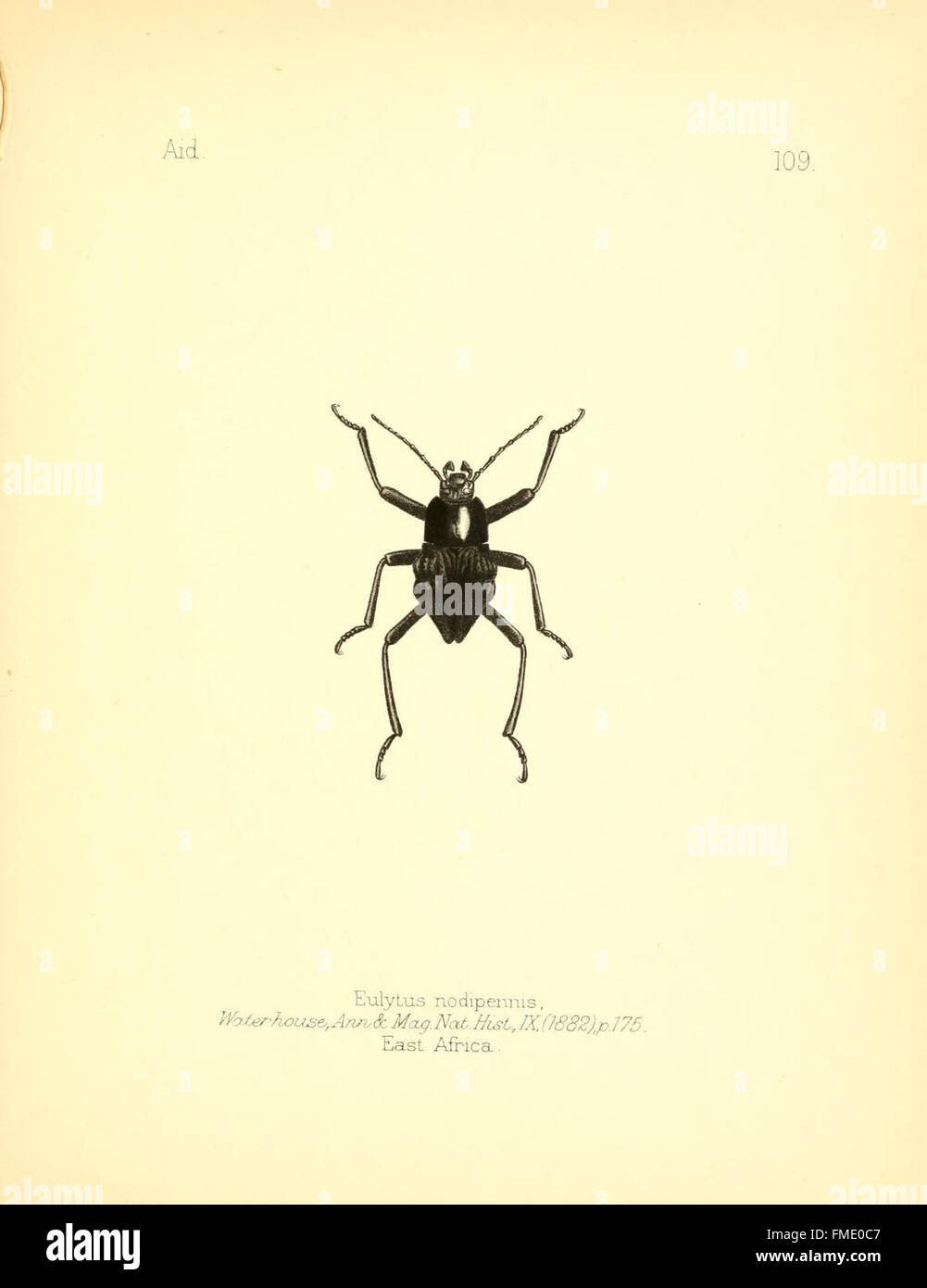 *Aid to the Identification of Insects* provides further insight into ...