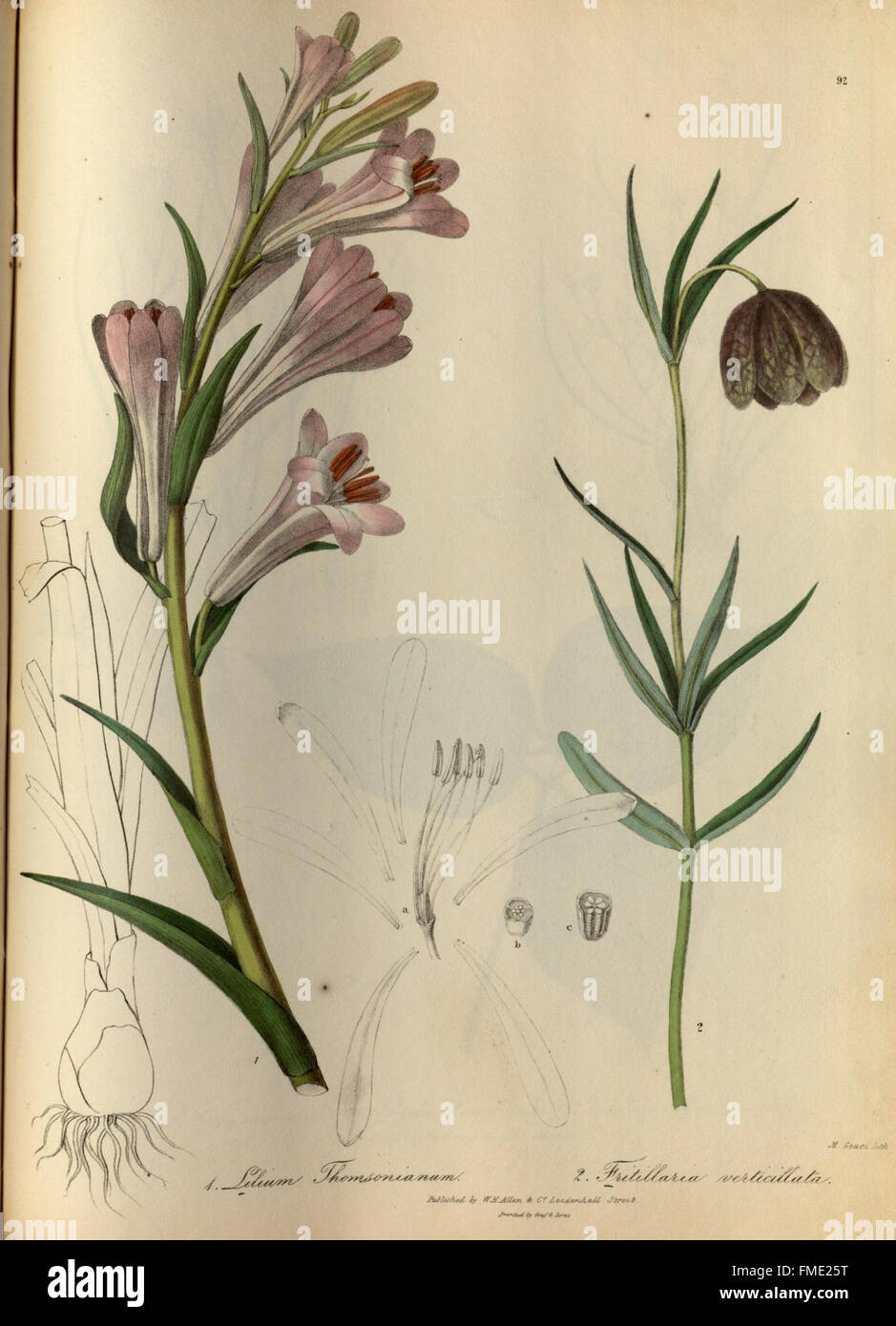 This work illustrates the diverse plant species and natural history of ...