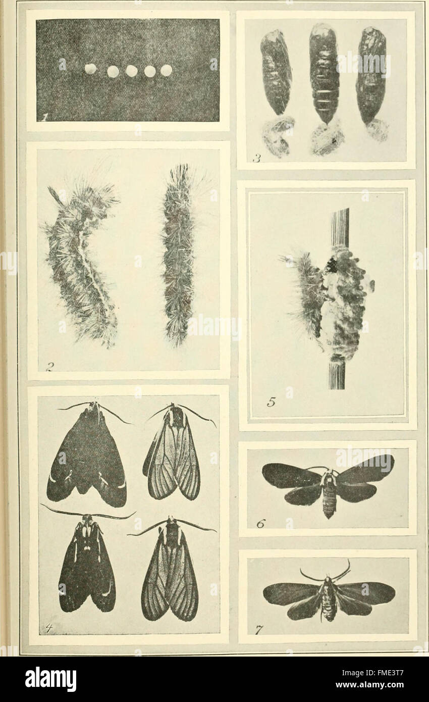The 'Journal of Entomology and Zoology' (1915) covers a wide range of ...
