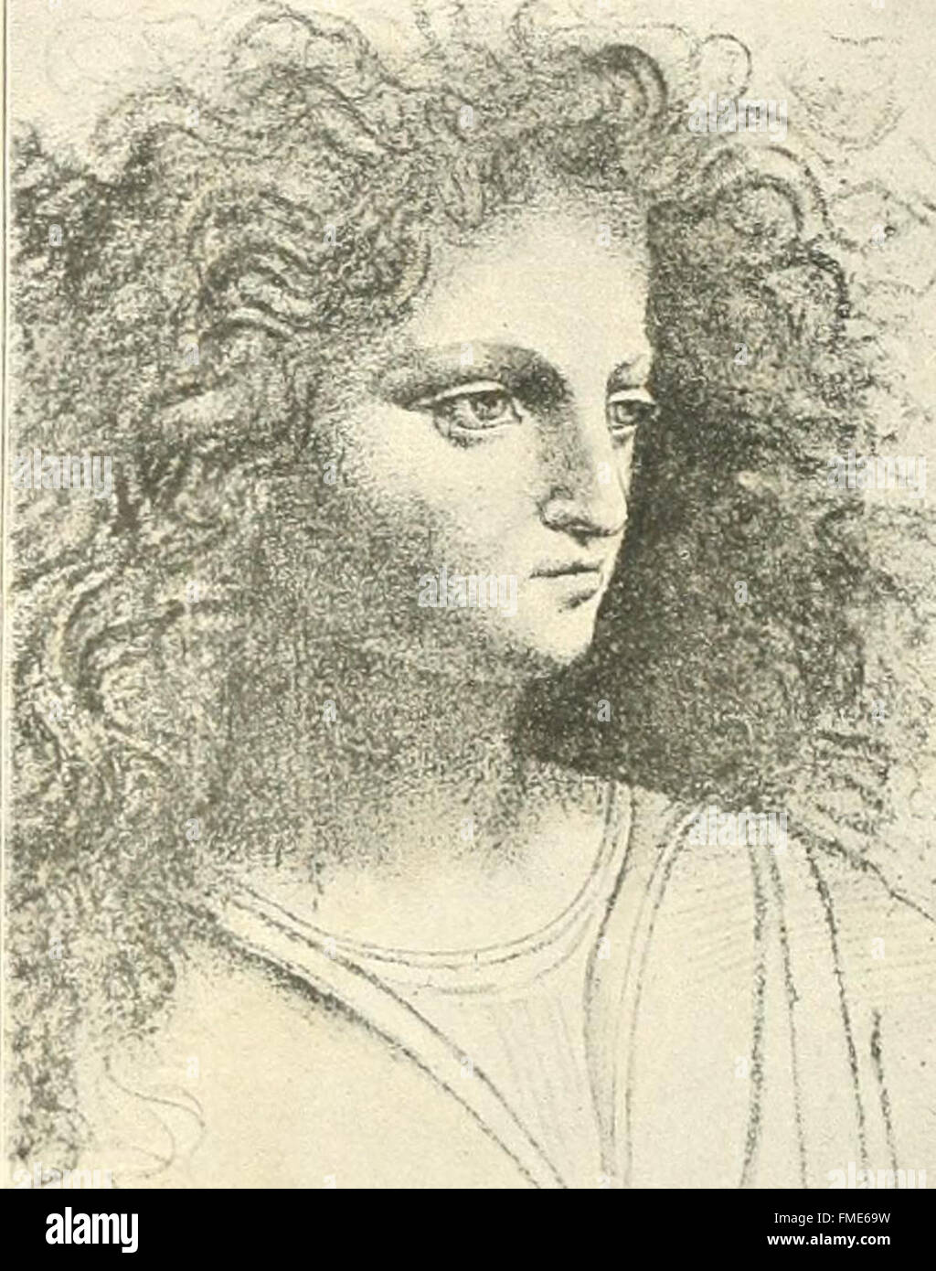 Da vinci drawing map hi-res stock photography and images - Alamy