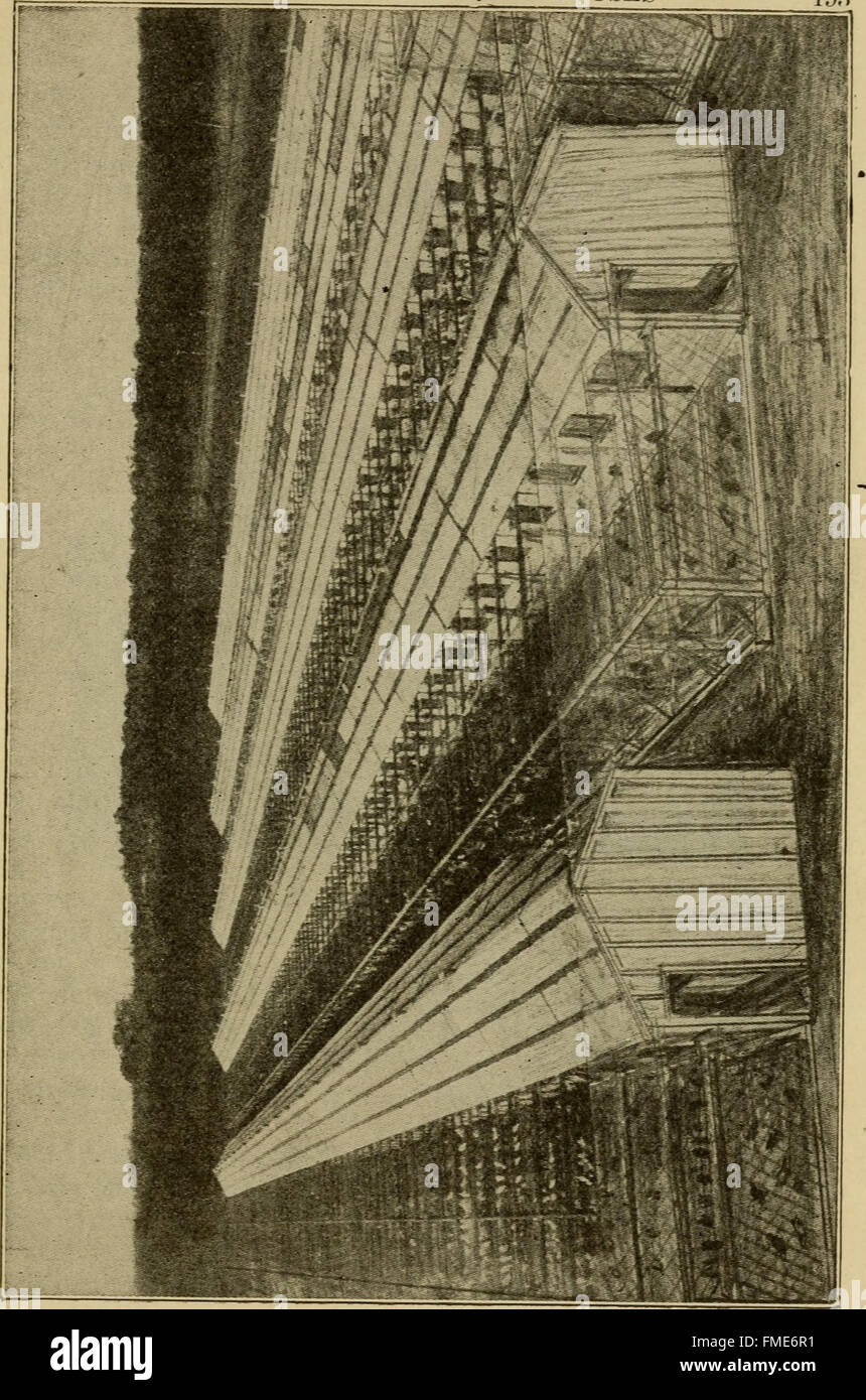 The 1921 work 'American Squab Culture' provides a comprehensive guide ...