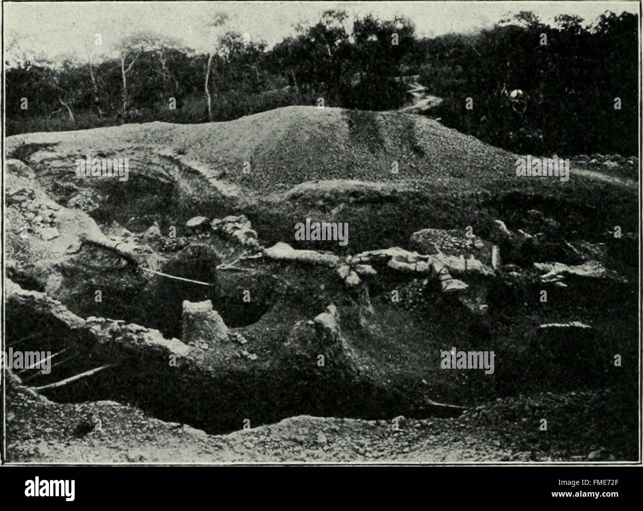 'Am Tendaguru' (1912) recounts the history and work of a German ...