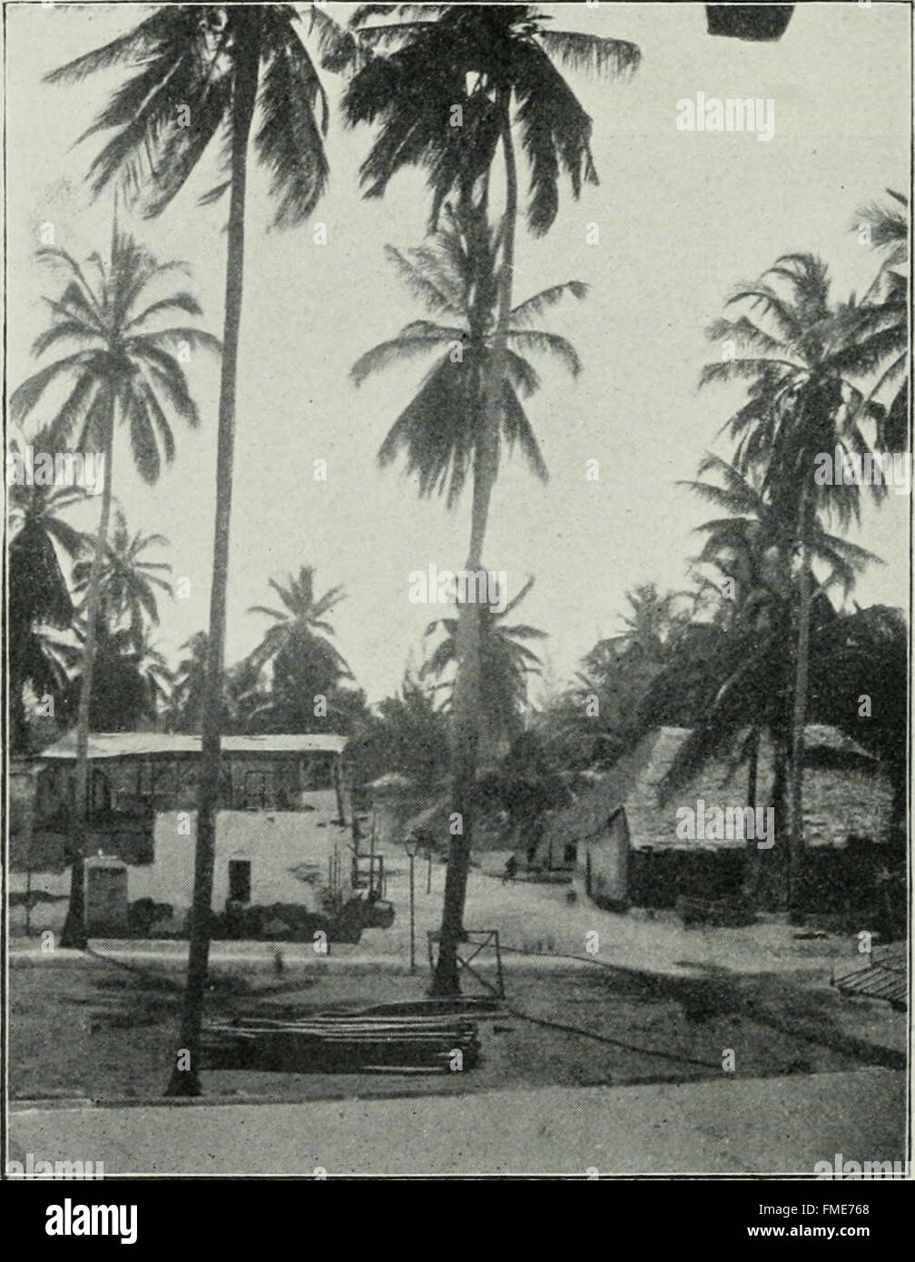 'Am Tendaguru' (1912) chronicles a German research expedition to ...