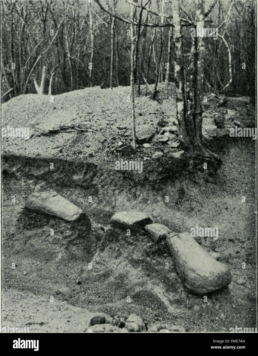 'Am Tendaguru' (1912) chronicles the German expedition to East Africa ...