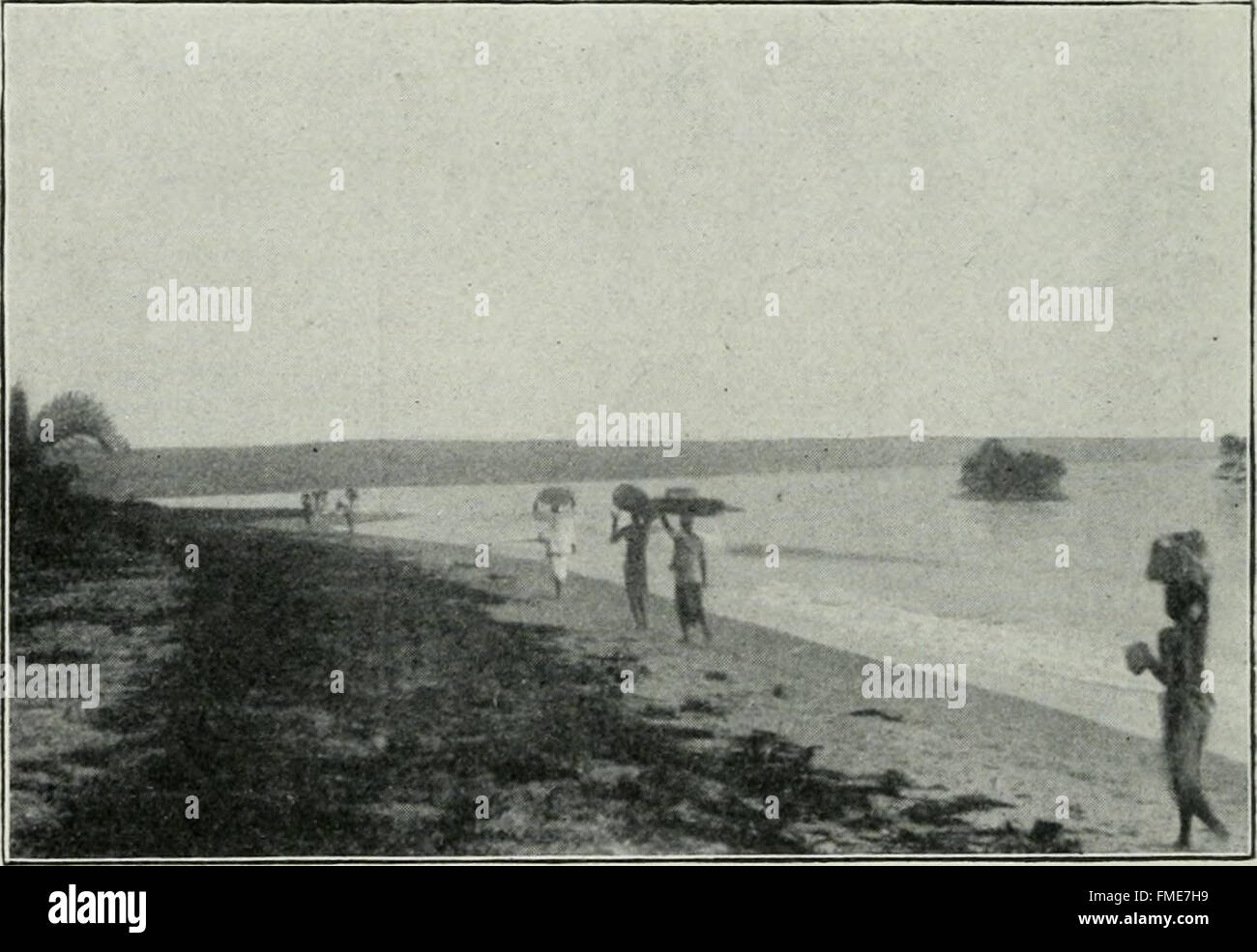 'Am Tendaguru' (1912) describes the German expedition to East Africa to ...