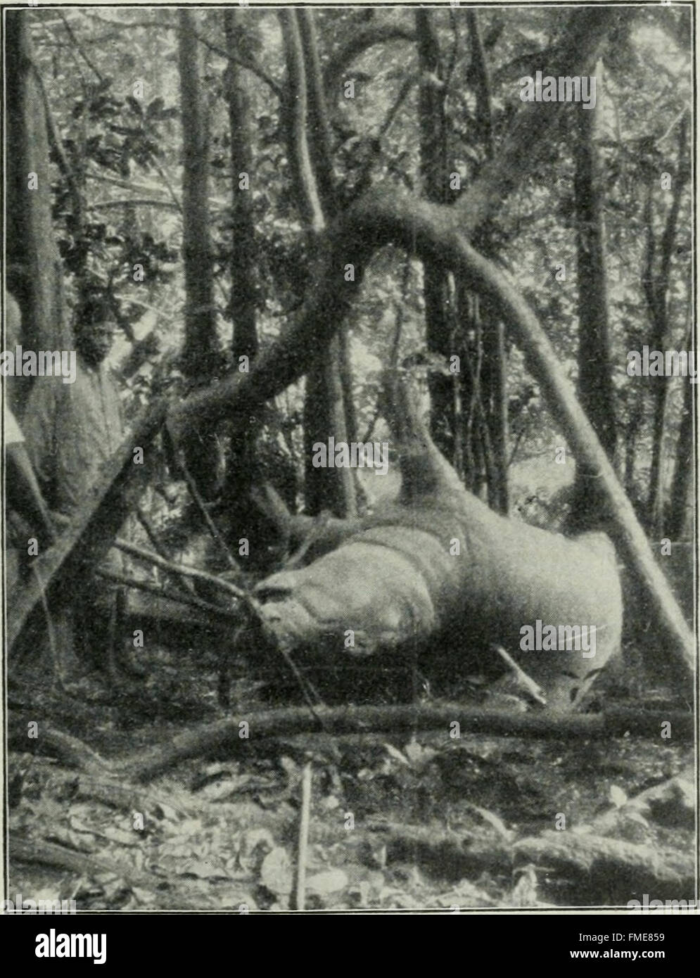 This 1912 account details the German Tendaguru Expedition, which ...