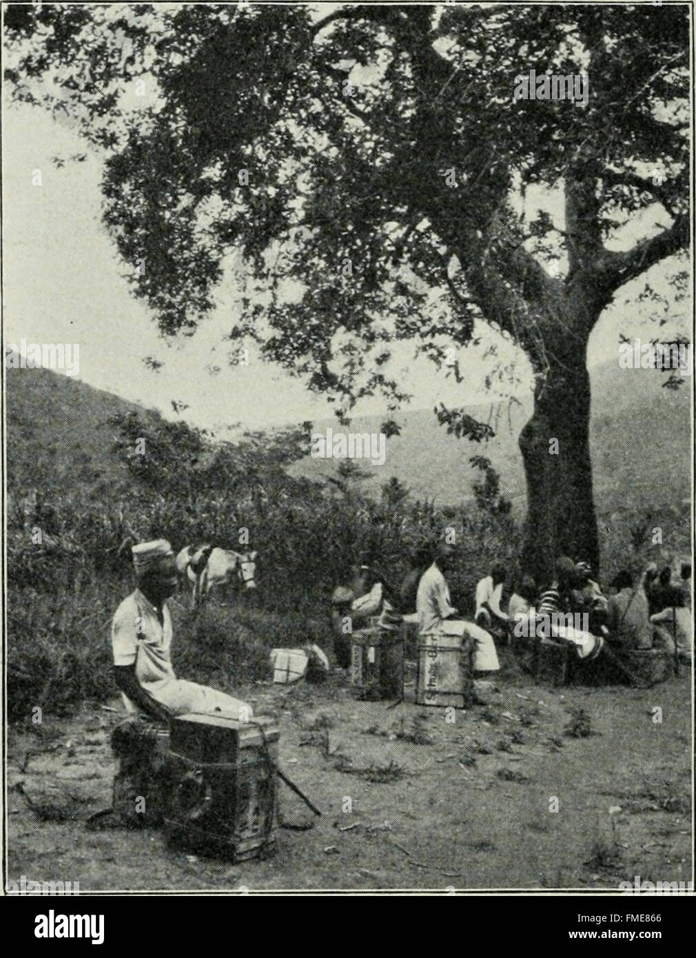 The 1912 work 'Am Tendaguru' details a German expedition to excavate ...