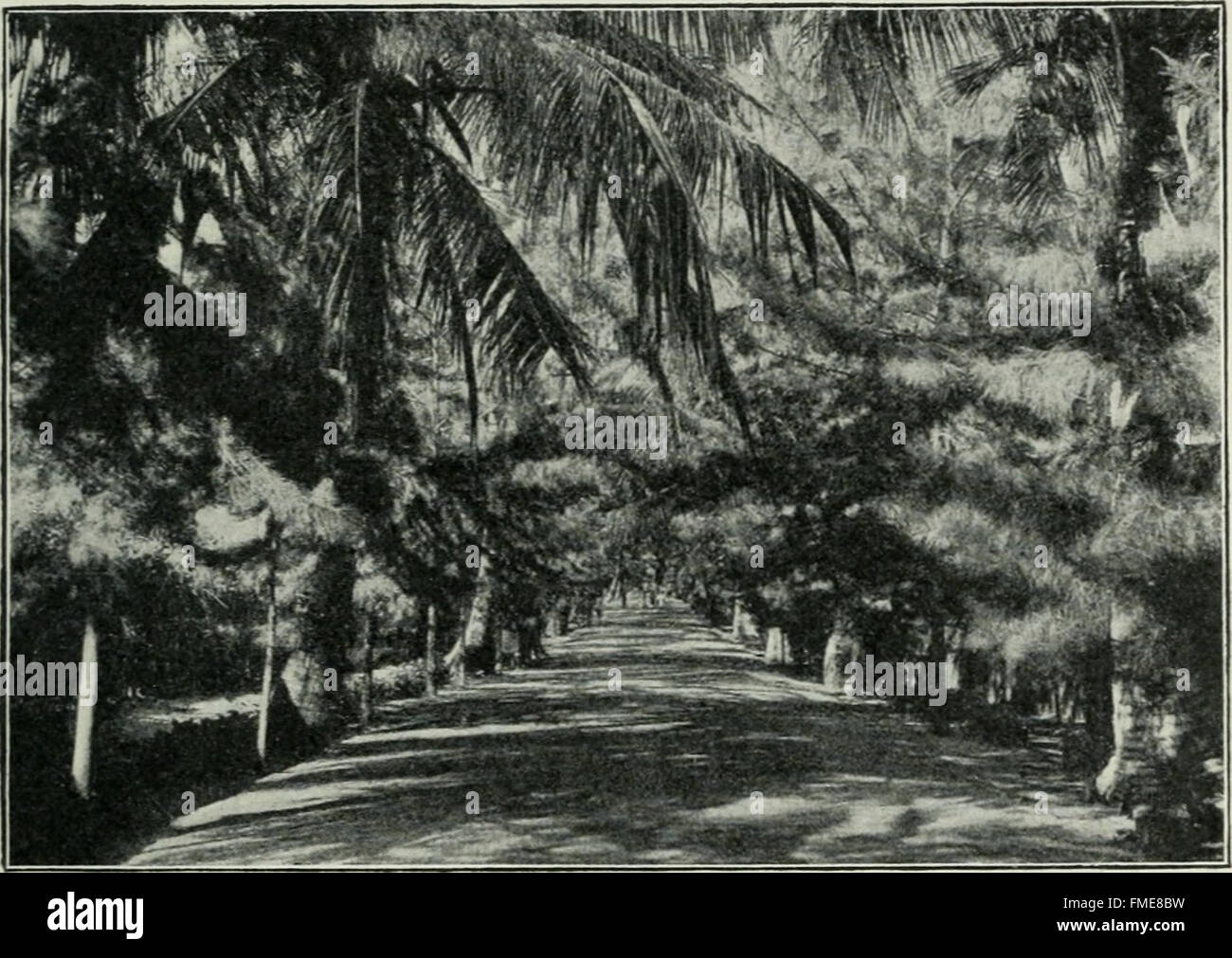 'Am Tendaguru' (1912) details a German expedition in East Africa ...