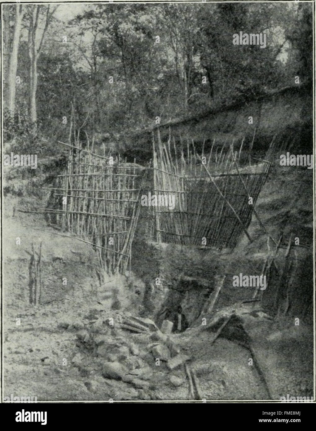 A historical account of a German research expedition to Tendaguru in ...