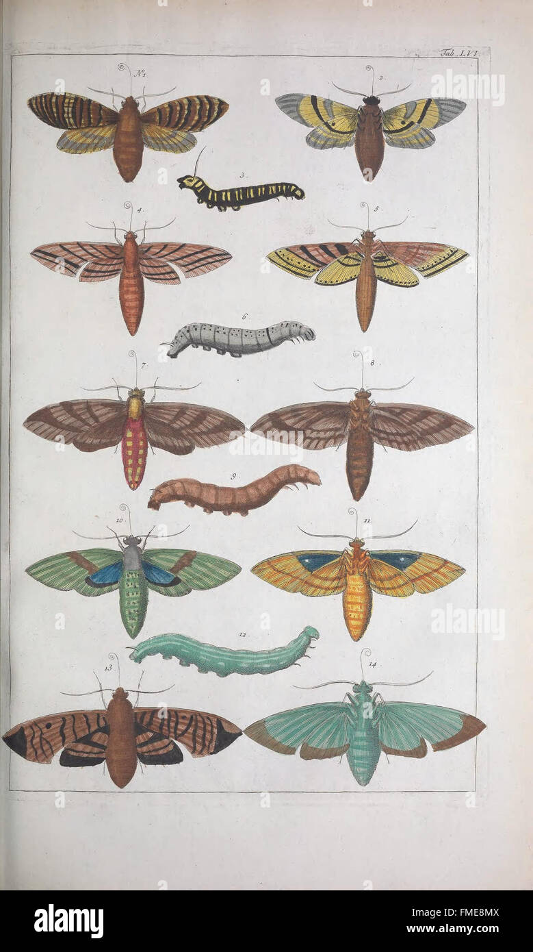 Detailed depictions of various plant elements hi-res stock photography ...