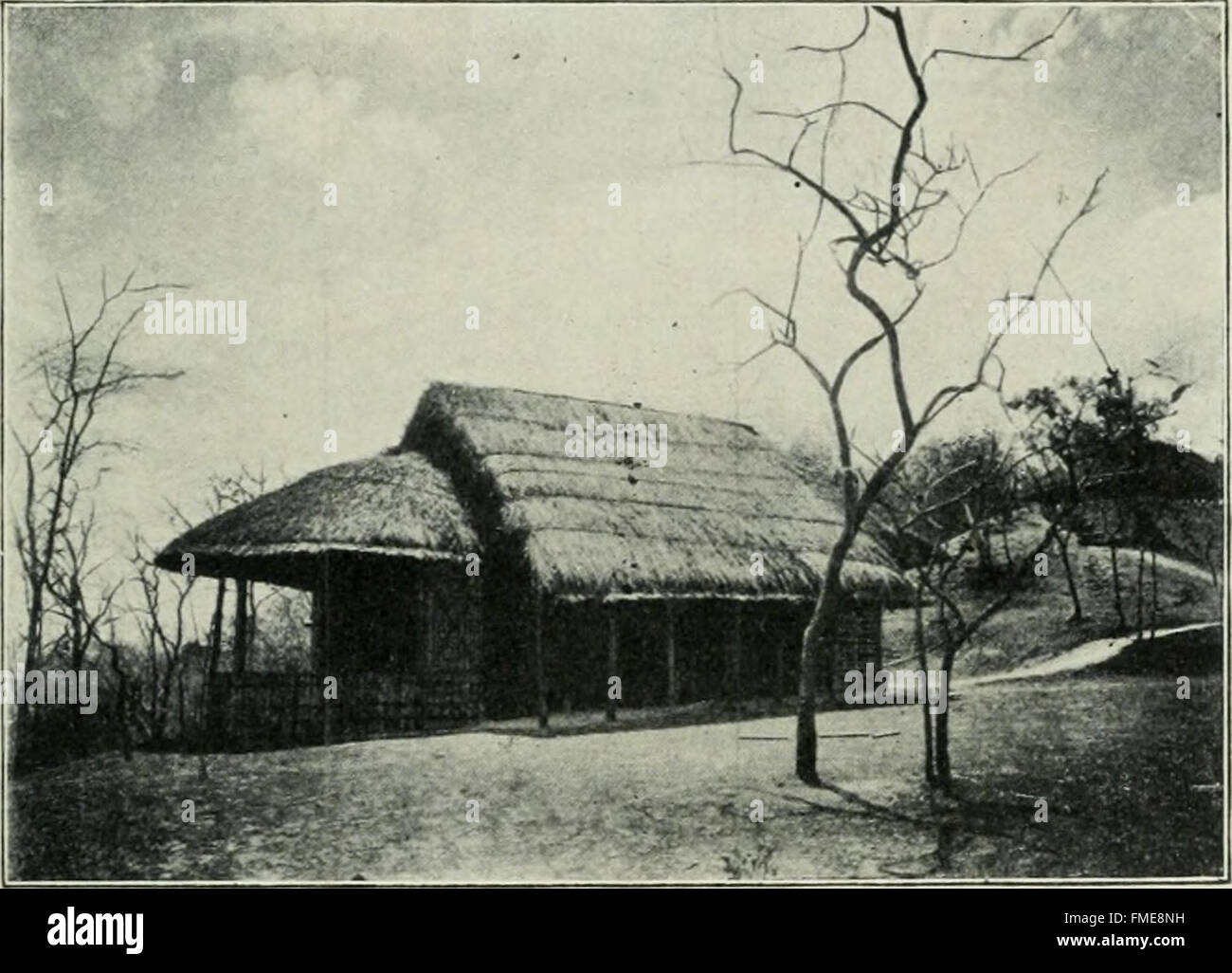 'Am Tendaguru' (1912) details the work of a German expedition that ...