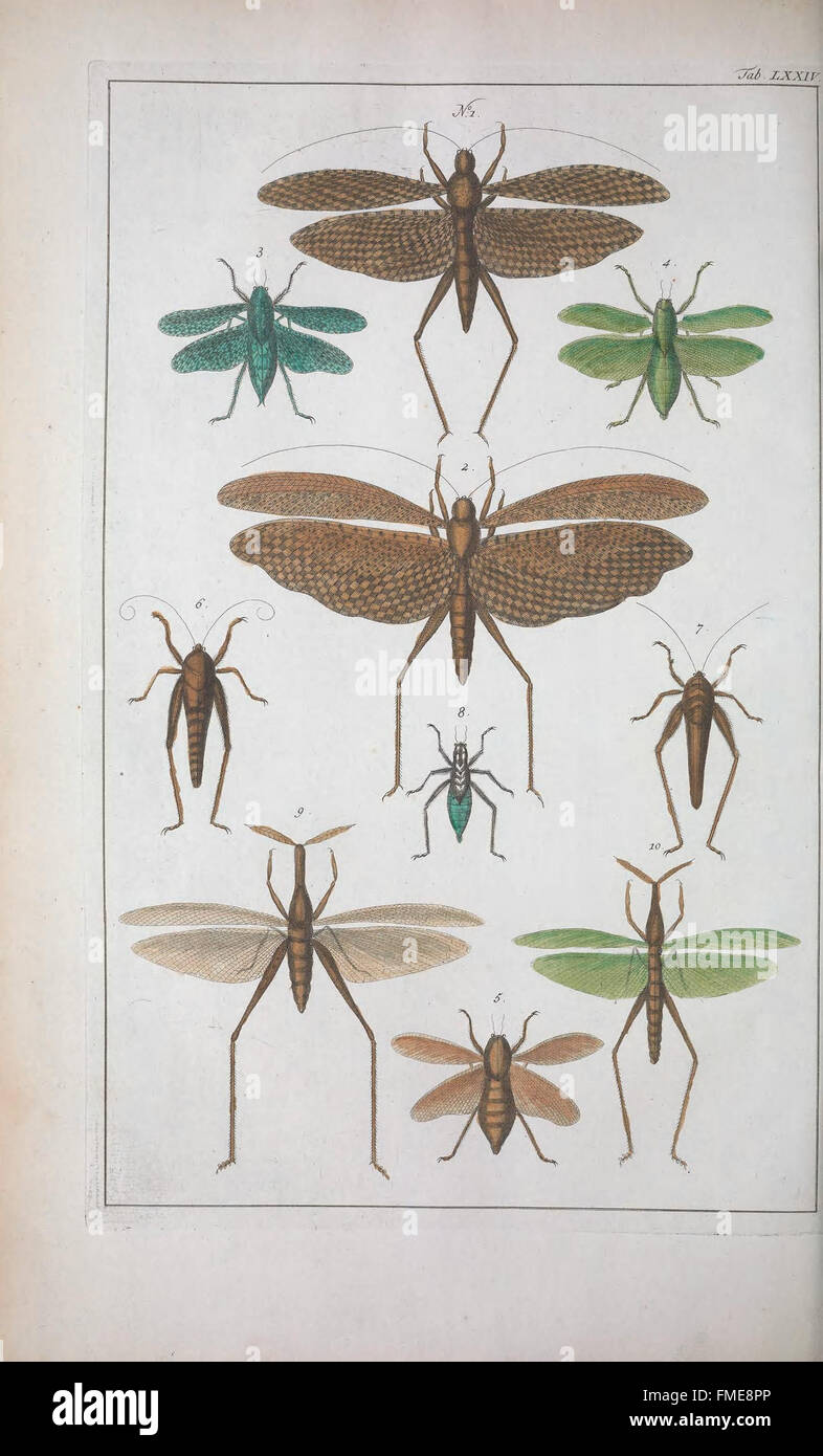 This work provides an in-depth description of natural history and ...