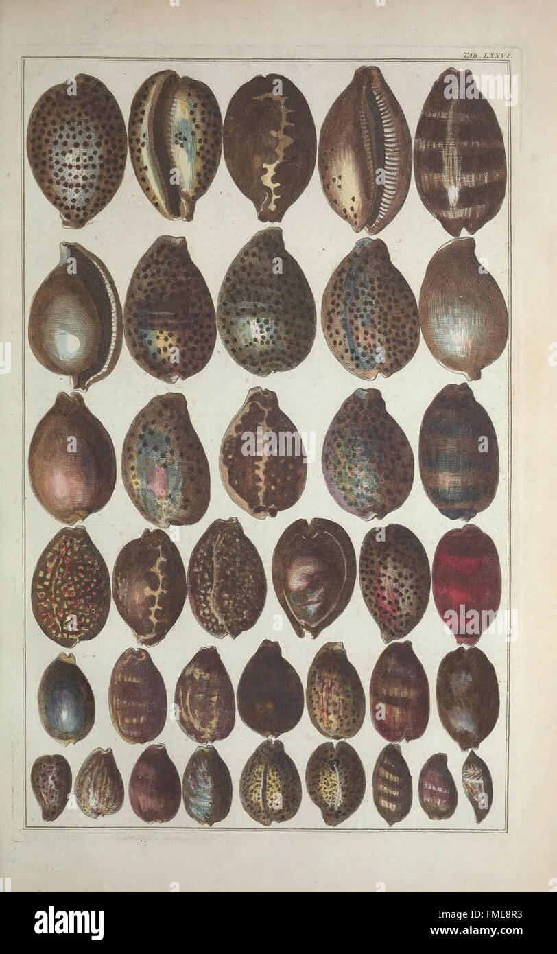 This 17th-century work presents detailed illustrations and descriptions ...