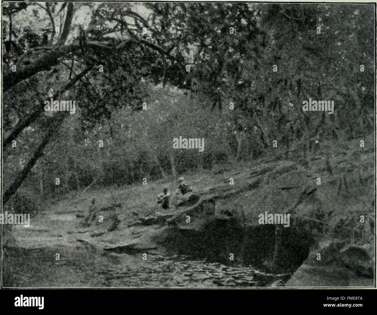 'Am Tendaguru' (1912) documents a German research expedition in East ...