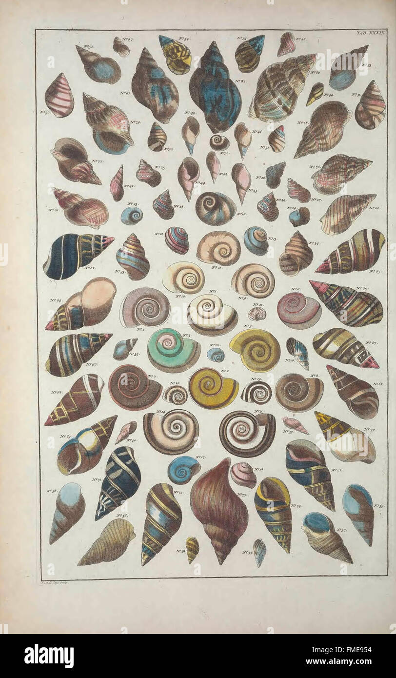 This detailed work offers a thorough description and intricate ...
