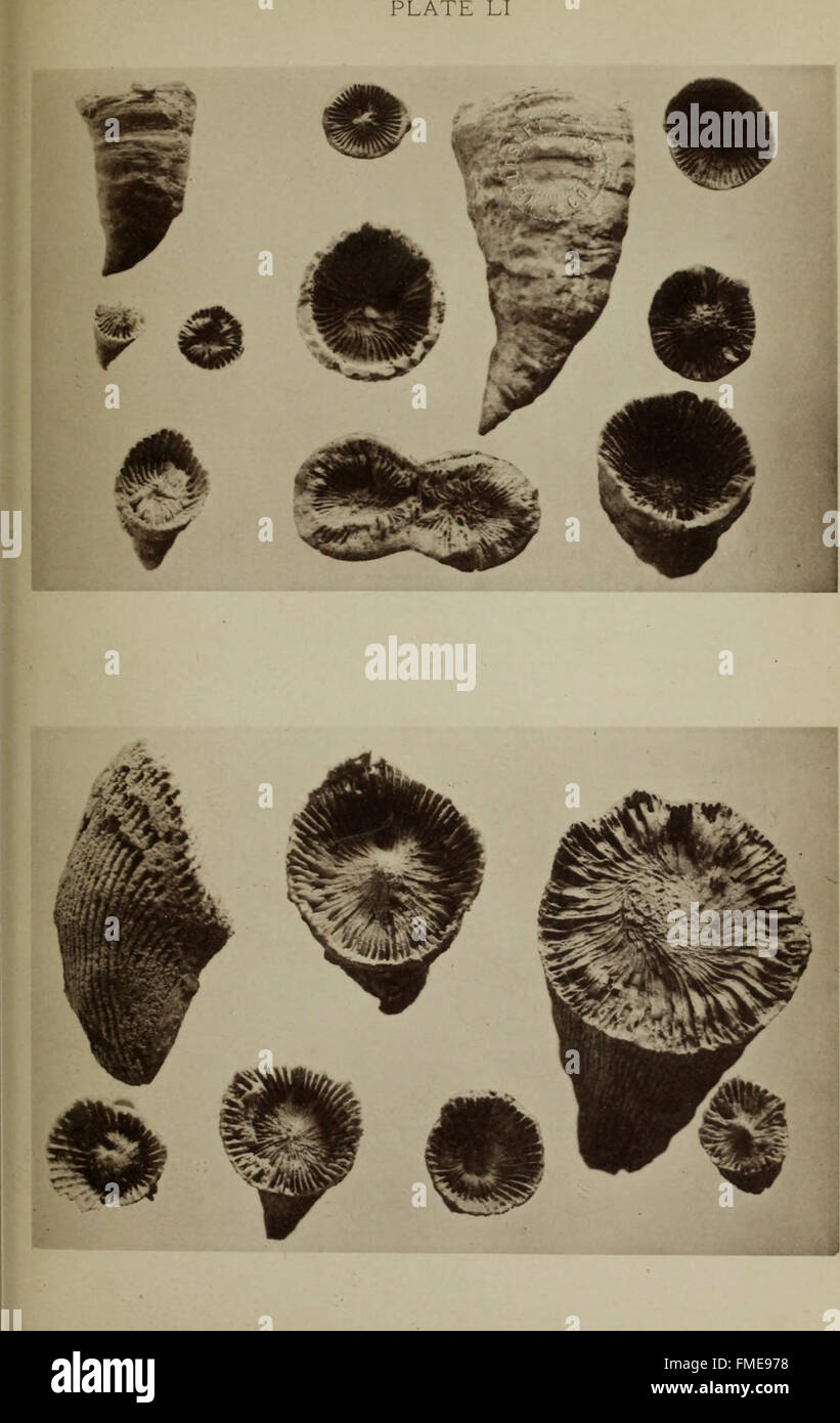 *Lower Peninsula* (1876) covers the geological features of Michigan’s ...