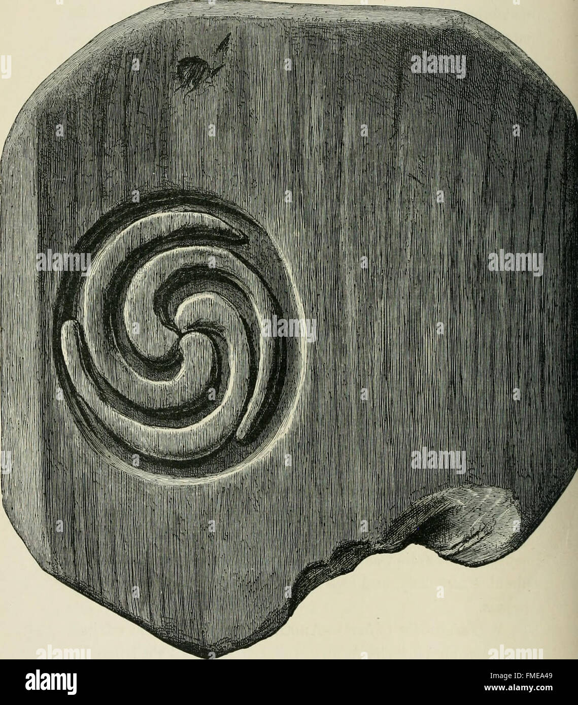 Bronze age england settlements hi-res stock photography and images - Alamy