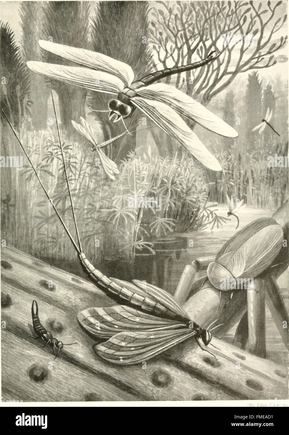 'Marvels of Insect Life' (1916) provides an accessible overview of ...