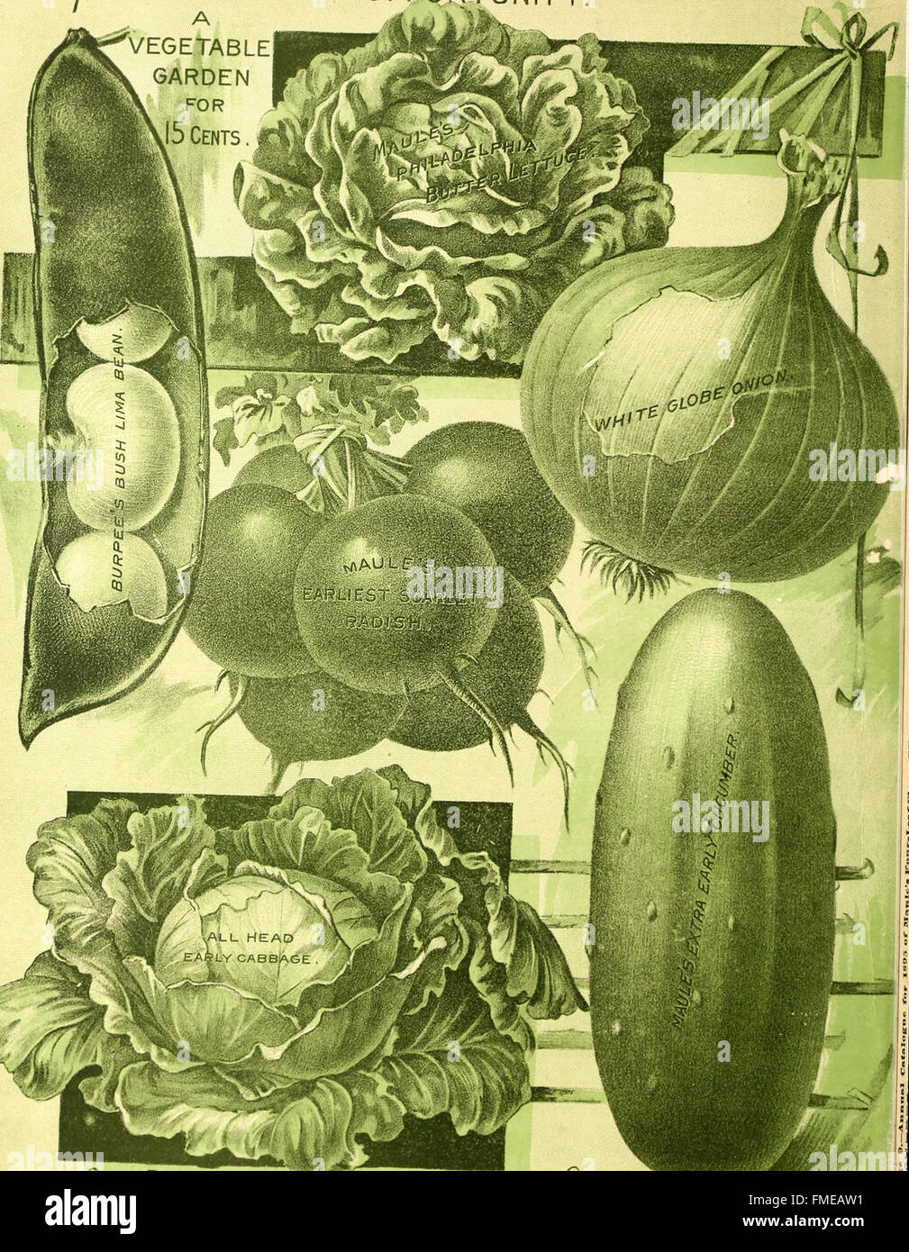 Maule's Seed Catalogue (1895) offers a comprehensive list of seeds for ...