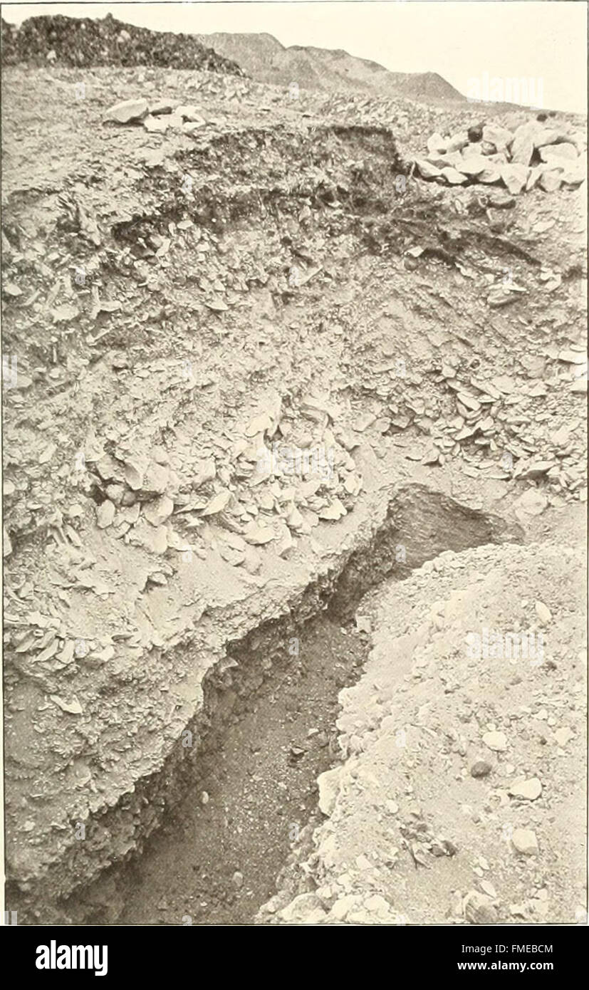 'Meydum and Memphis' (1910) focuses on the ancient Egyptian ...