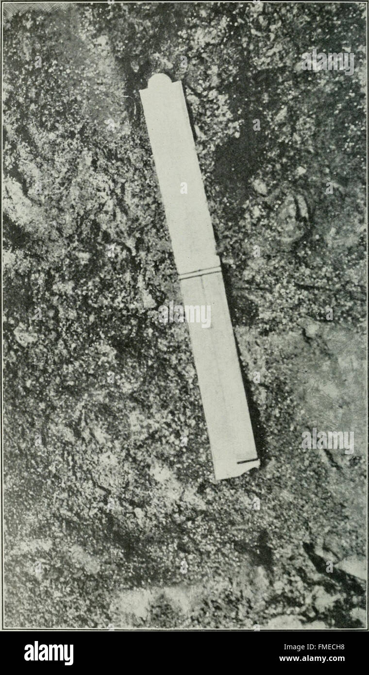 This entry discusses the presence of native mercury, also known as ...