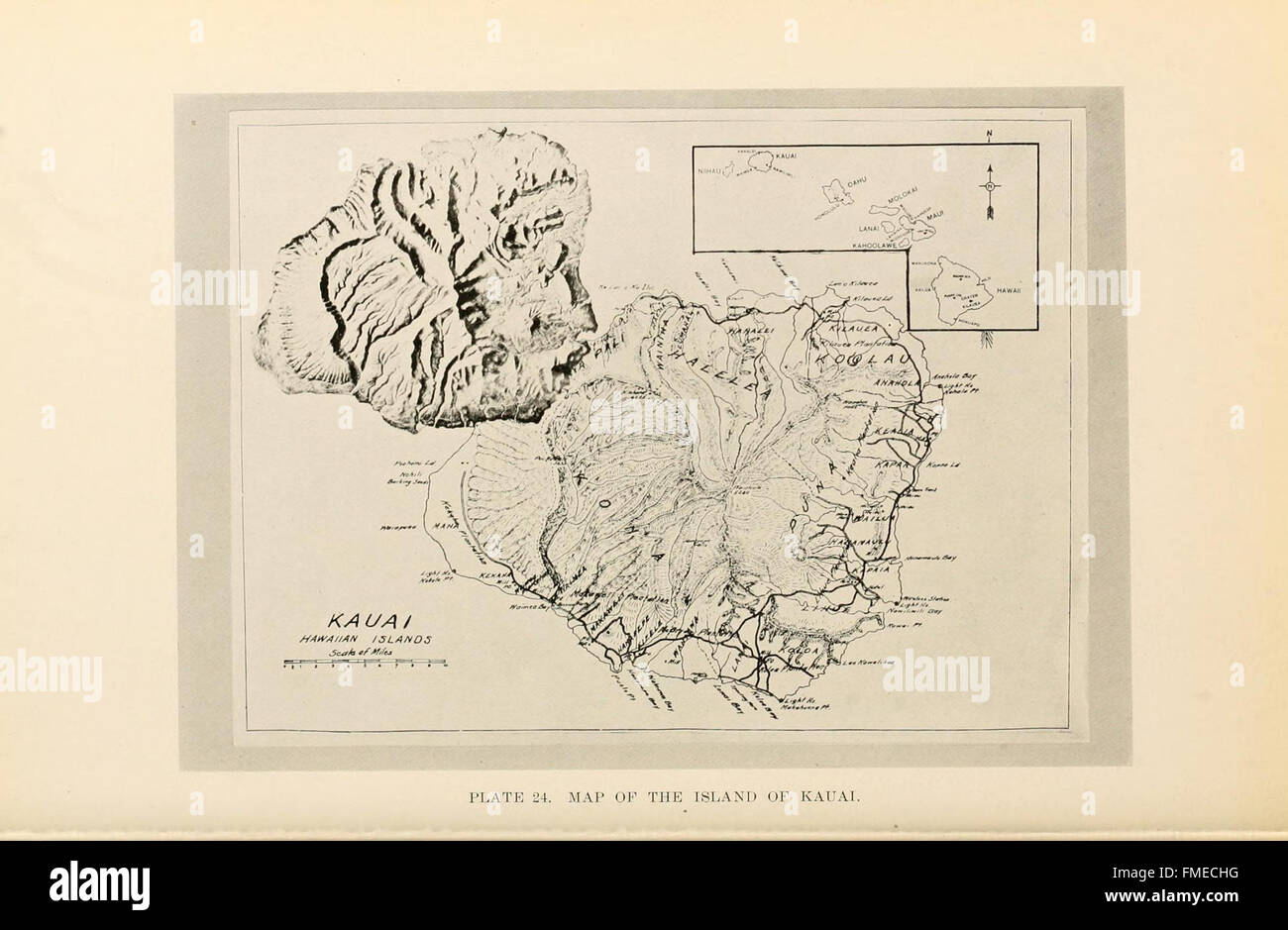 Page 104 of 'Natural History of Hawaii' details the island's unique ...