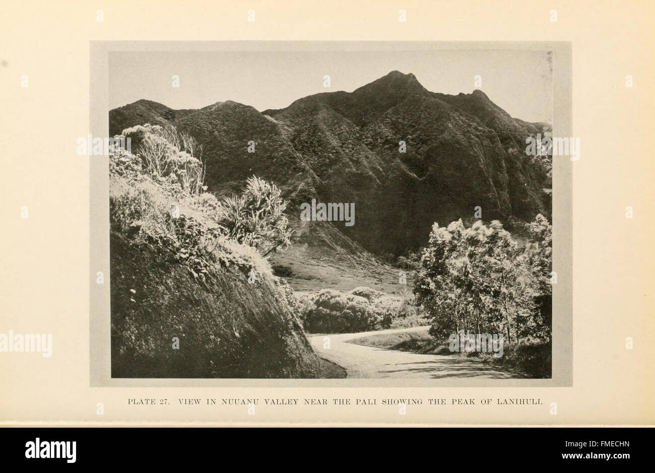 An entry from the 'Natural History of Hawaii,' detailing the native ...