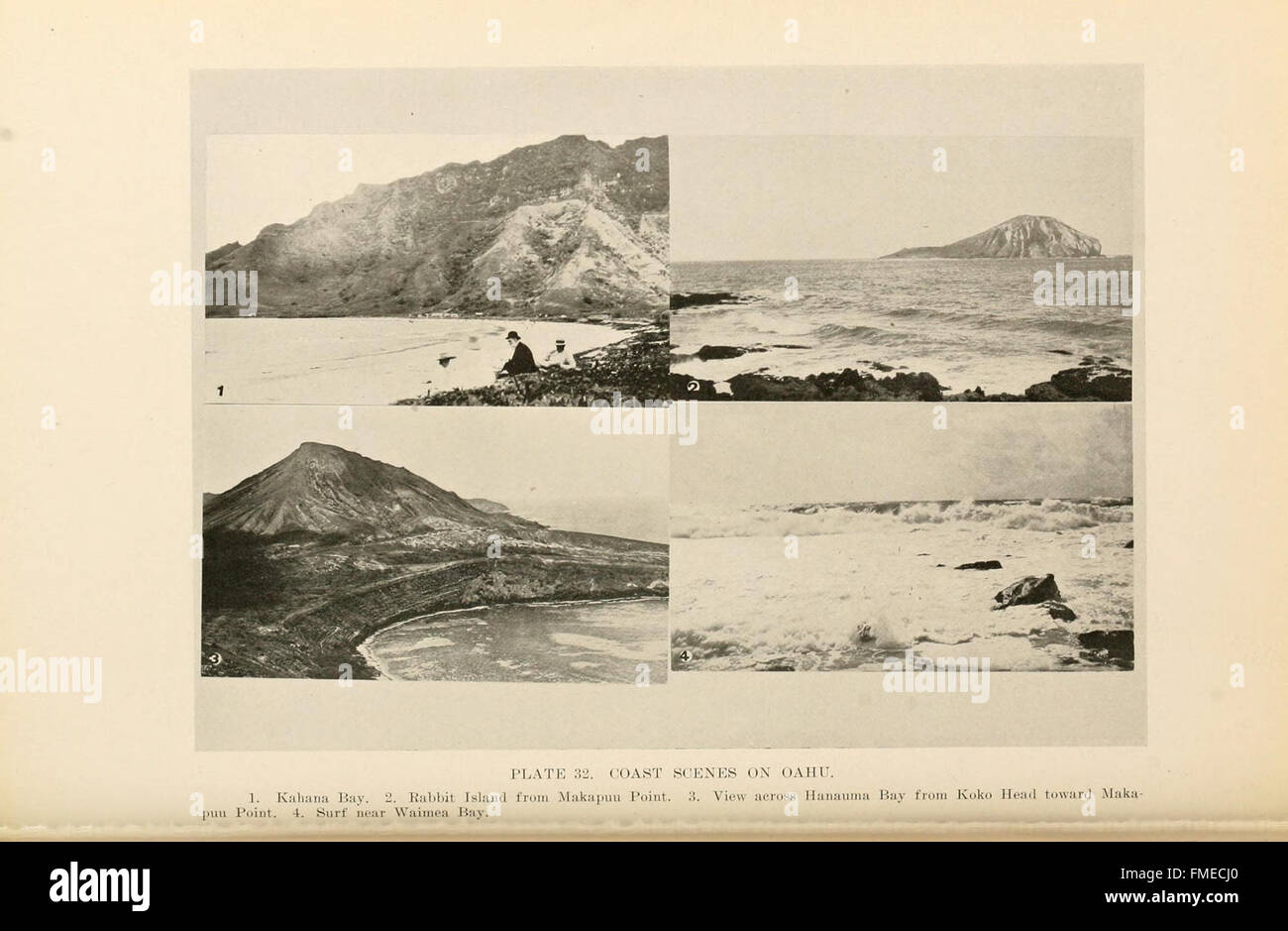 Page 128 of the 'Natural History of Hawaii' explores the diverse ...