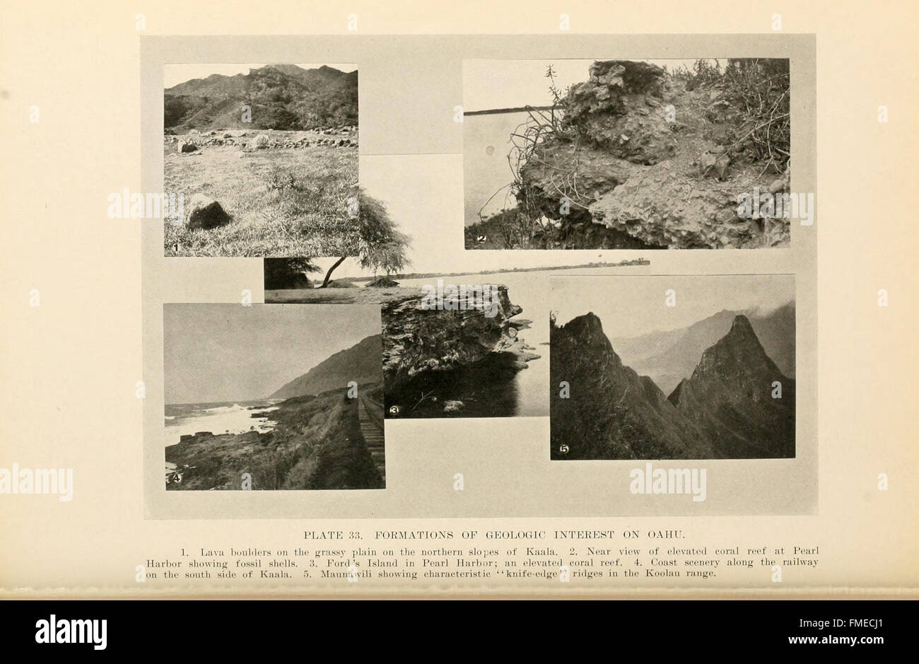 The 'Natural History of Hawaii' details the unique flora and fauna of ...