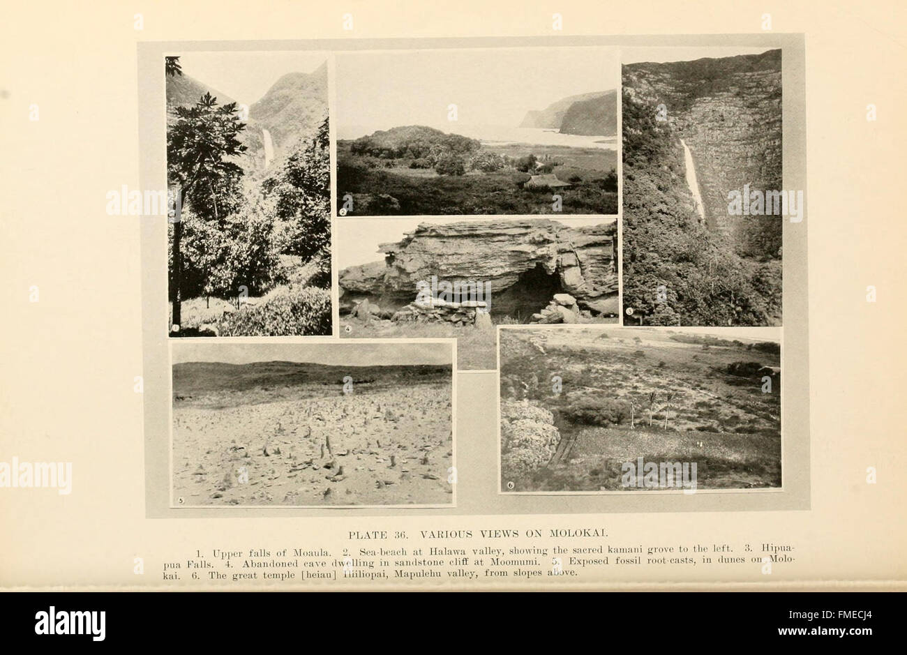 Page 140 of 'Natural History of Hawaii' presents detailed insights into ...
