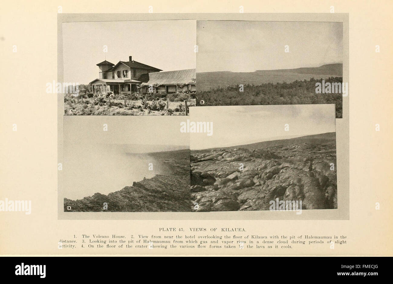 Page 166 of the 'Natural History of Hawaii' discusses the island's ...