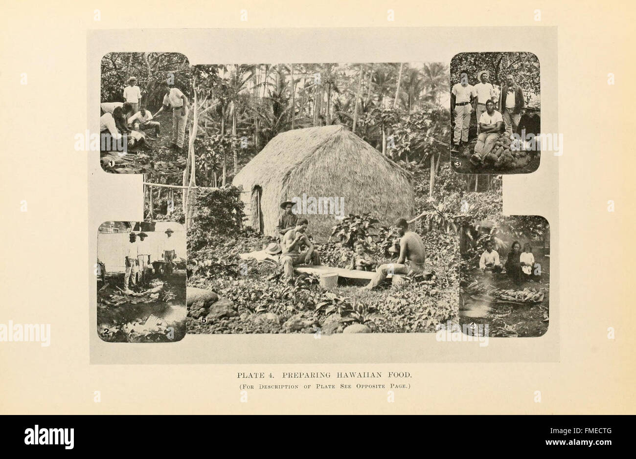 Ancient hawaii illustration hi-res stock photography and images - Alamy