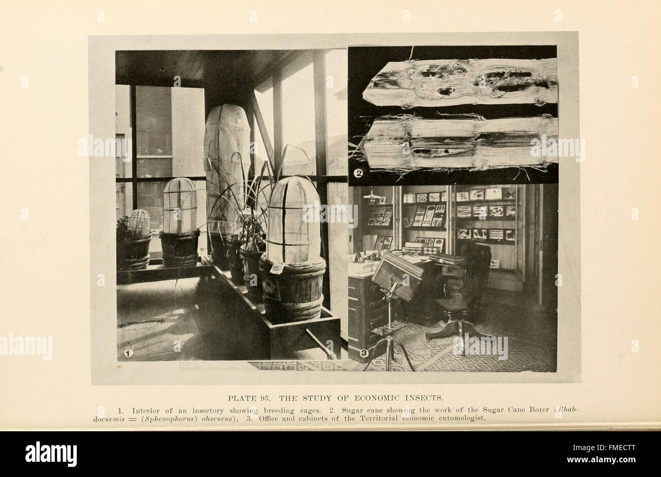 Page 380 from *The Natural History of Hawaii* provides an in-depth ...