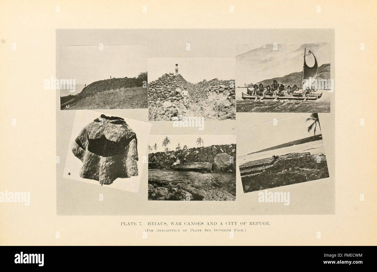The Natural History of Hawaii provides detailed descriptions of the ...