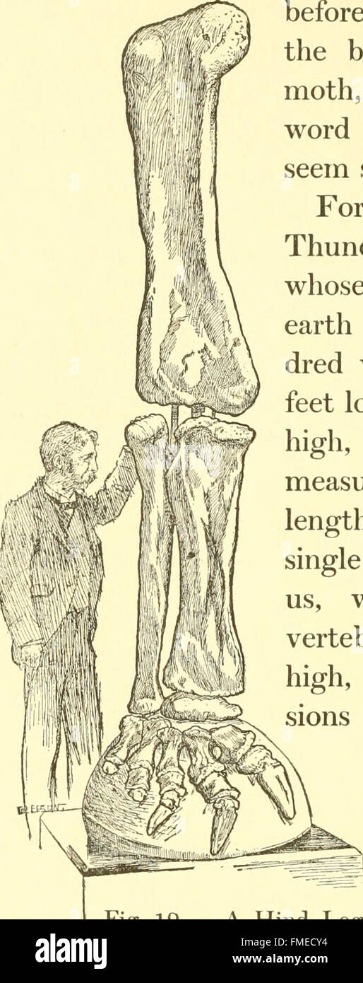 'Animals of the Past' (1901) explores extinct animals from various ...