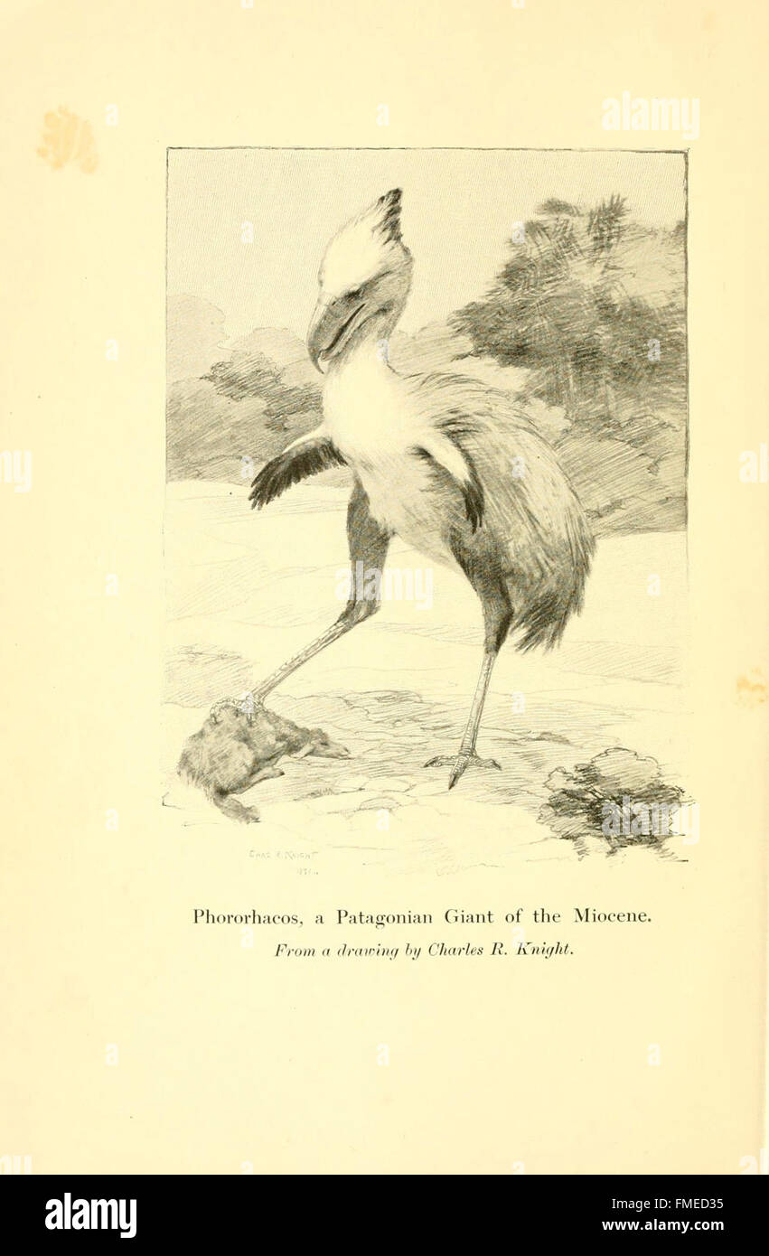 Figure 16 from 'Animals of the Past' illustrates prehistoric animal ...