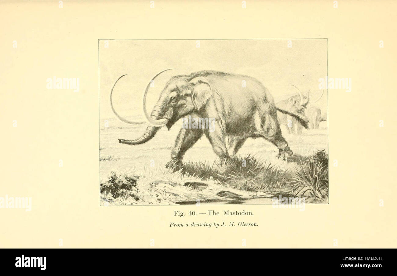 Figure 16 from 'Animals of the Past' illustrates extinct or prehistoric ...