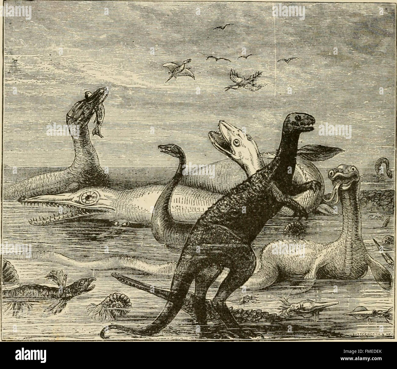 Delivered in December 1874, this lecture series explores the ...